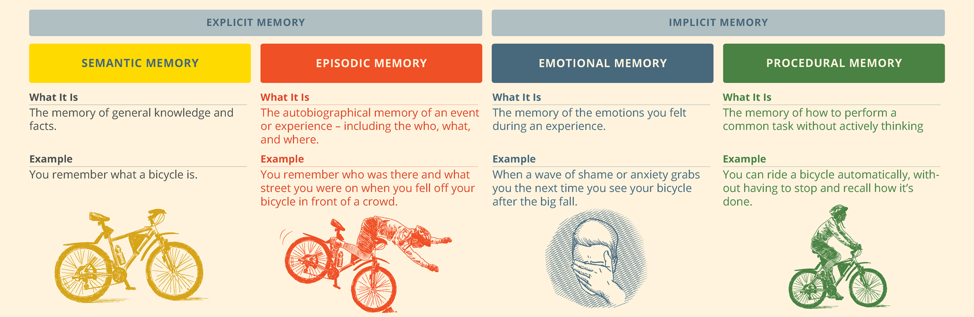 Brain Memory Dr Sonia Maxwell